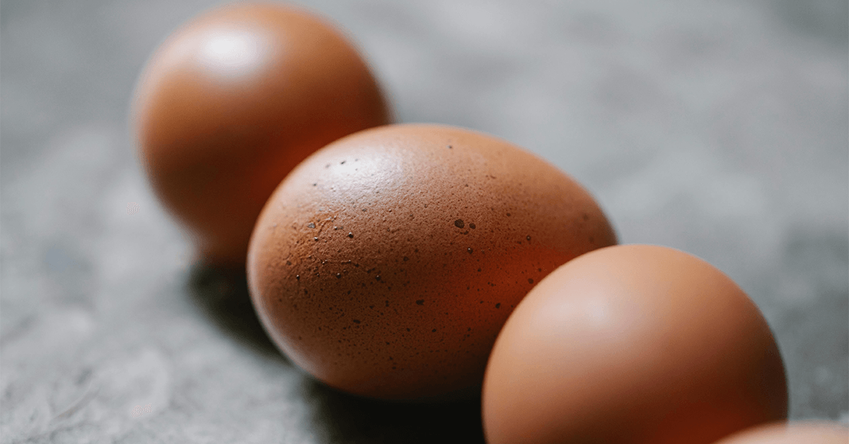 The Crisis in BC's Chicken Industry - alive magazine