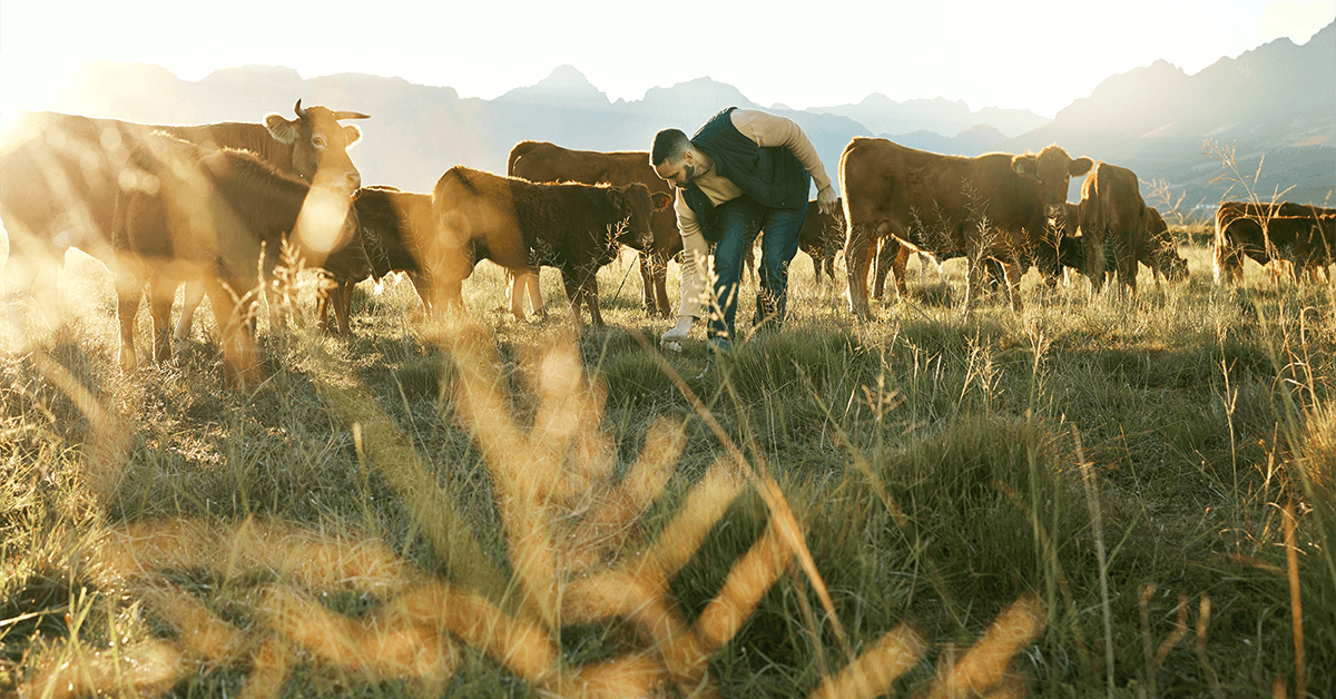 The Real Dope on Beef Hormones - alive magazine