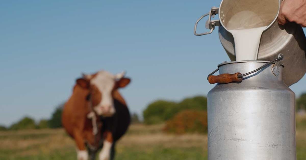 Got (rBGH) Milk? - alive magazine