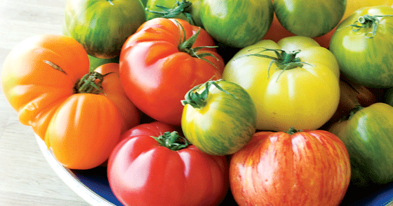 Glorious Tomatoes - alive magazine