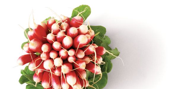 Digestion - alive magazine