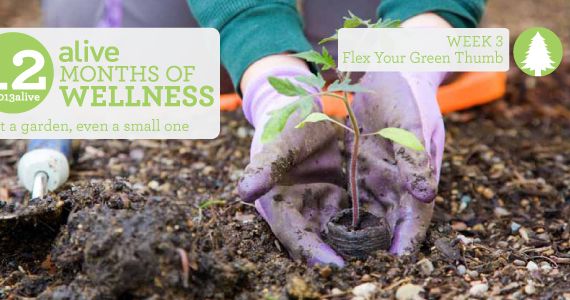 #2013alive: Look Ahead - Go Green Indoors! - alive magazine