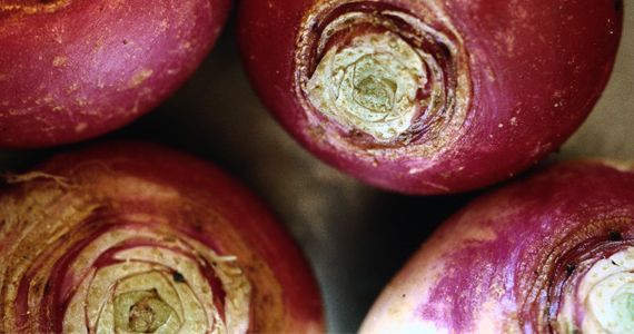 A Little Help for the Liver - alive magazine