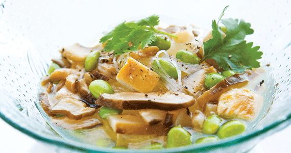 Green Tea Chicken Noodle Soup - alive magazine