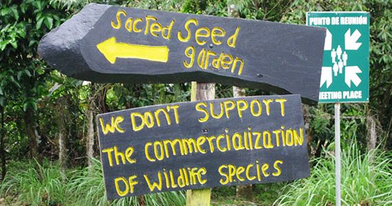 Exploring the First Sacred Seeds Garden - alive magazine