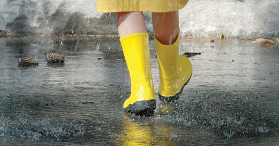 Our Toxic Nation - alive magazine