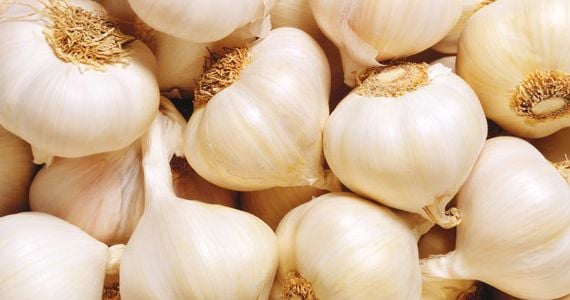 Allicin - alive magazine