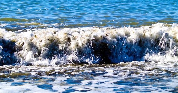 Mr. Floatie Finally Gets the Treatment He Deserves - alive magazine