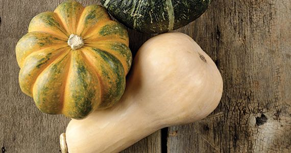 Good Gourd - alive magazine