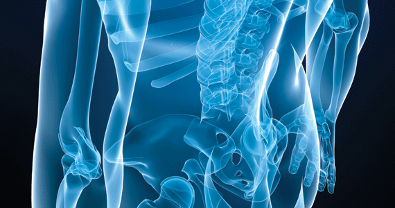 The Bone Balance - alive magazine