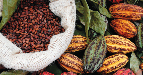 Check Your Chocolate - alive magazine