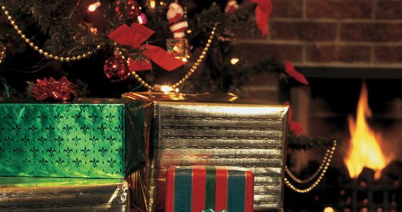 The Spa Tree - alive magazine