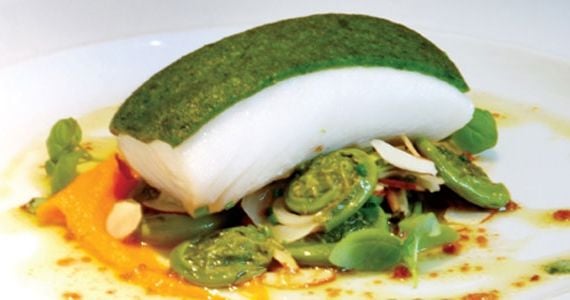 Sautéed Fiddlehead Ferns - alive magazine