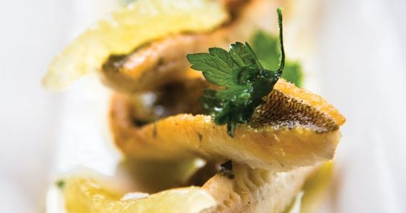 Pan-Seared Perch with Parsley Butter - alive magazine