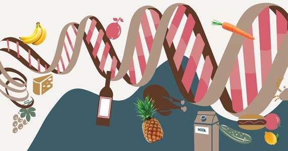 Nutrigenomics - Discover How Food is Interacting with our Genes - alive ...