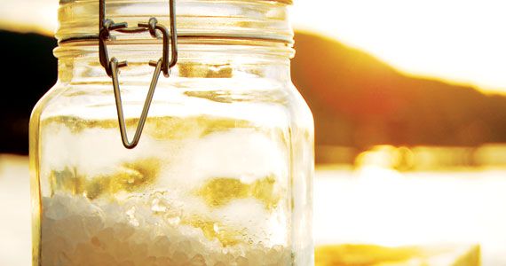 Salts of Earth and Sea - alive magazine