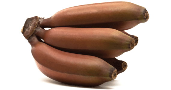 Yes, We Have Bananas - alive magazine