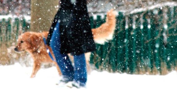 Helper's High - alive magazine