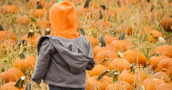 4 Unique Ways to Cook with Pumpkin - alive magazine