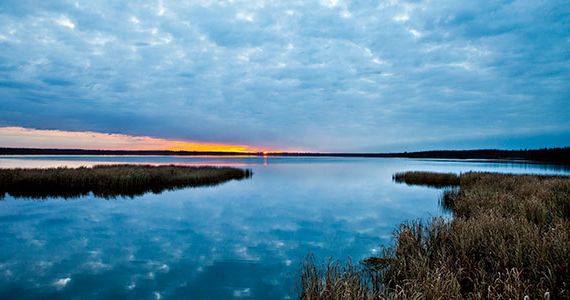 Canada's Freshwater - alive magazine