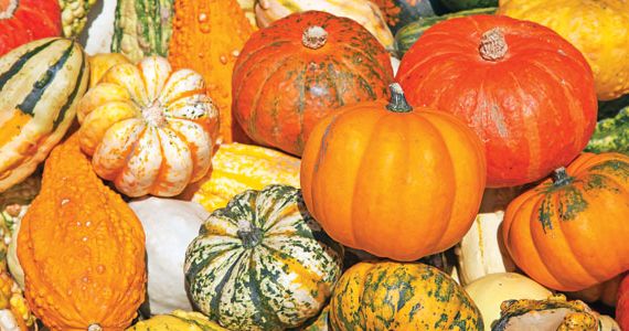 October Celebrations - alive magazine