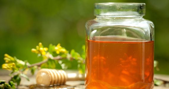 Sugar, Sugar, Everywhere - alive magazine