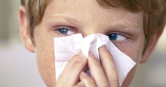 It's Sniffle Season - alive magazine