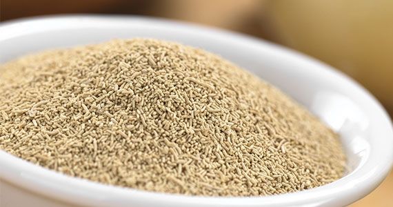 Give Yeast a Chance - alive magazine