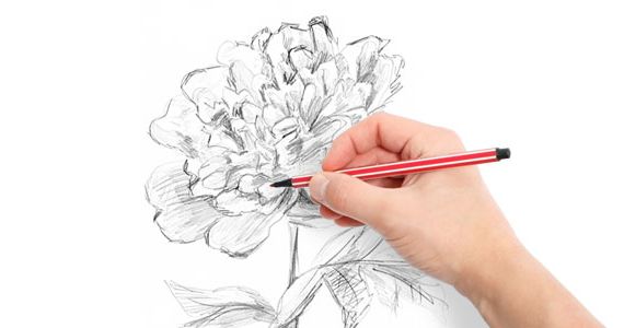 Therapeutic Drawing - alive magazine