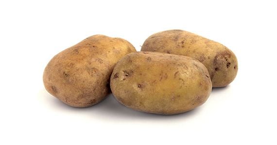 Plant-Based Fuel - alive magazine