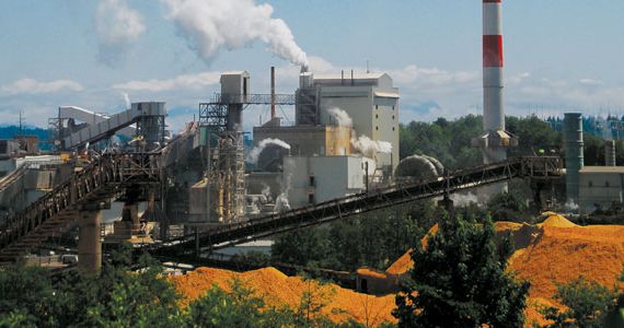 Pulp Mill Sludge - alive magazine