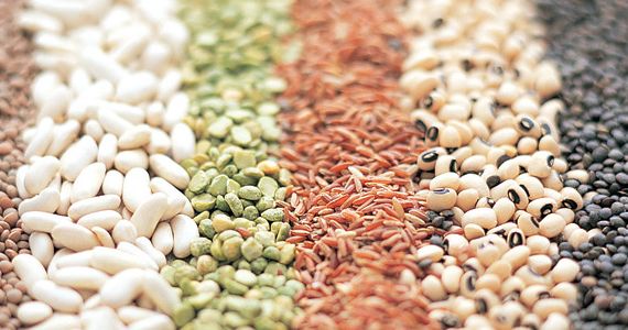 Beans, Beans - alive magazine