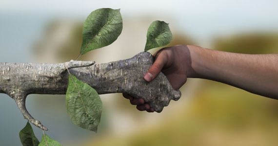 Ways You can Help Clean Up the Earth - alive magazine