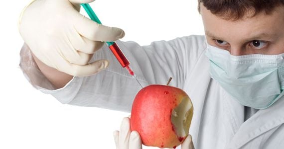 Do We Really Need Genetically Modified Apples? - alive magazine