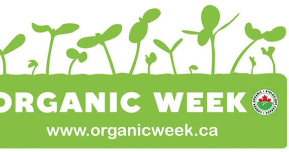 4 Ways to Celebrate Organic Week: September 21 to 28 - alive magazine