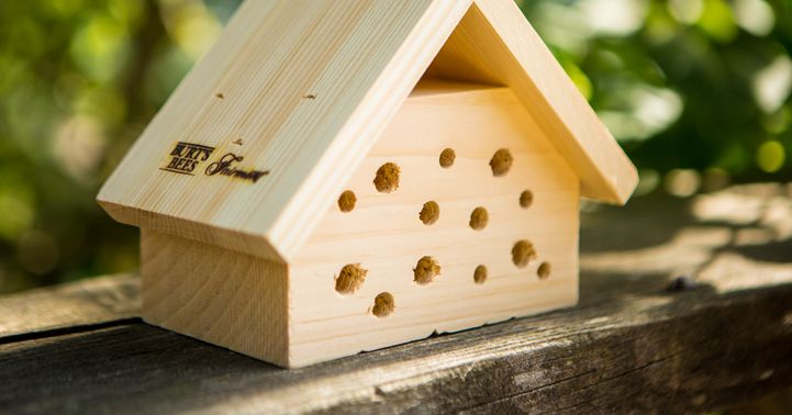 How to build your own bee hotel - alive magazine