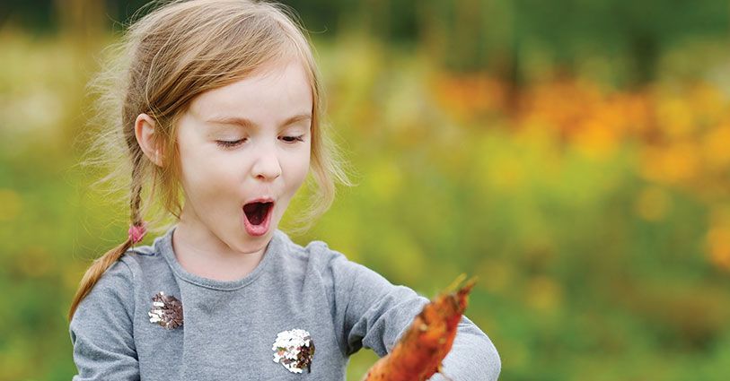 10 Foods for Sun Protection - alive magazine