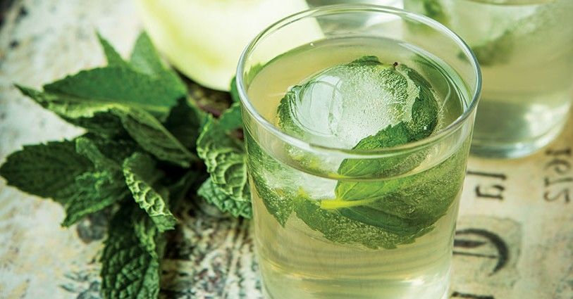Mint, Melon, and Nettle Refresher - alive magazine