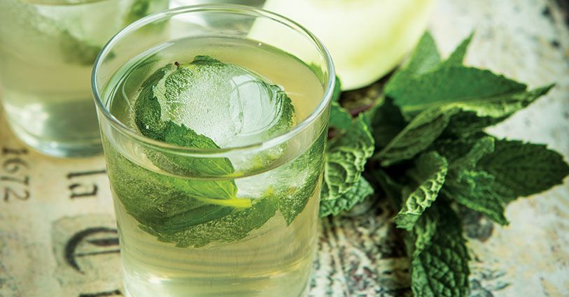 Mint, Melon, and Nettle Refresher - alive magazine