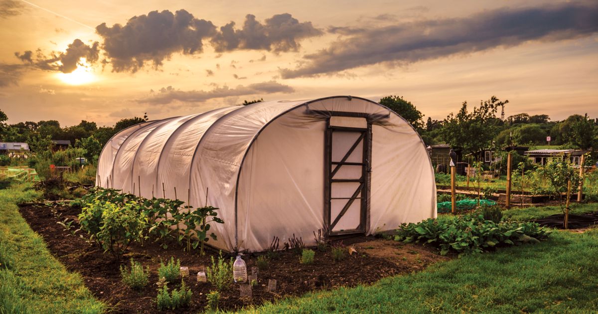 Organic and Biodynamic Farming - alive magazine