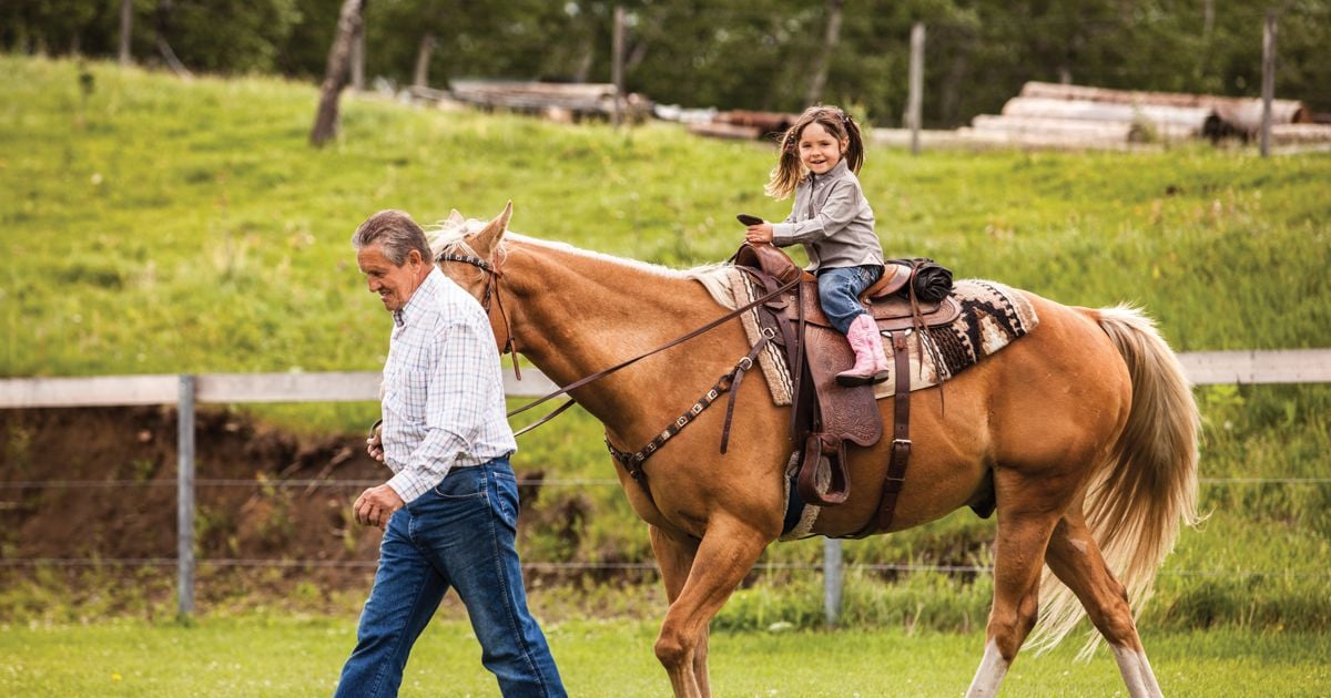 Experience Farm Living - alive magazine