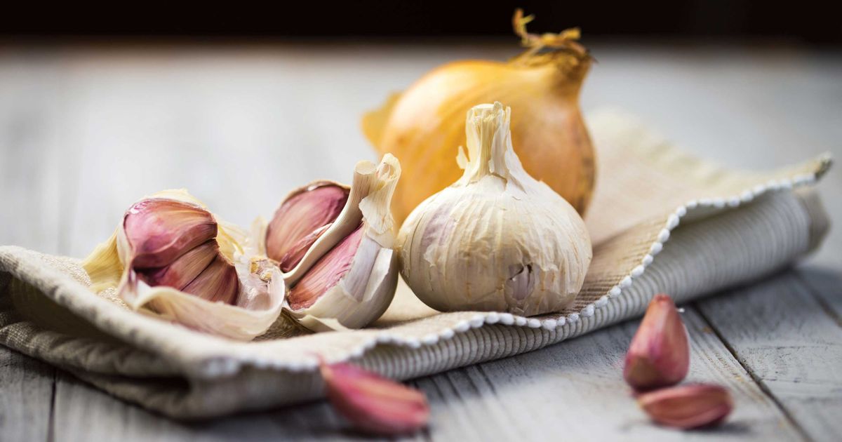 The World of Aromatics - alive magazine