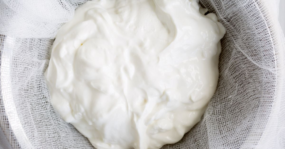 How to Make Your Own Cheese + Healthy Cheese Recipes | alive - alive ...