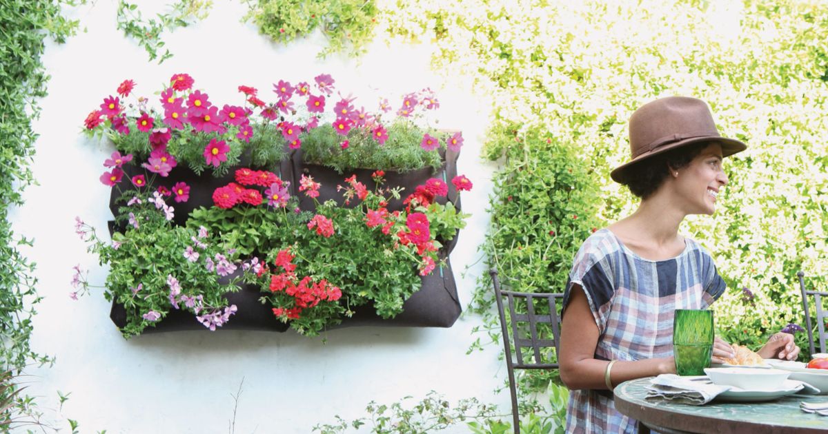 How to Grow Your Very Own Gorgeous Living Wall | alive - alive magazine