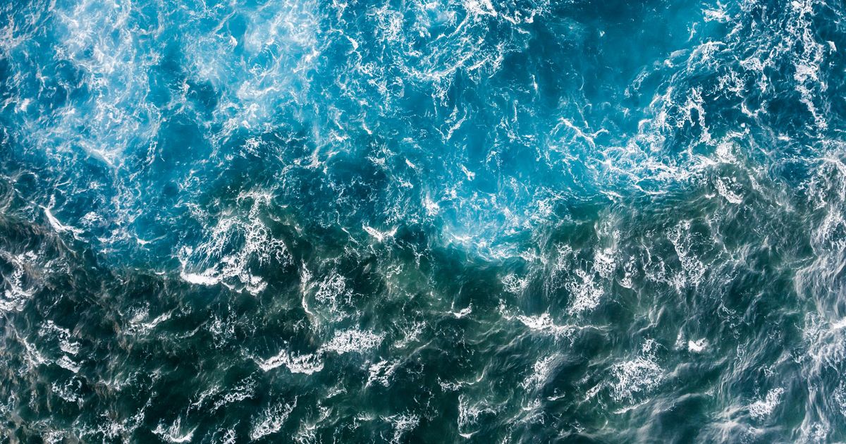 A Deep Dive Into the Biggest Threats to Our Oceans | alive - alive magazine