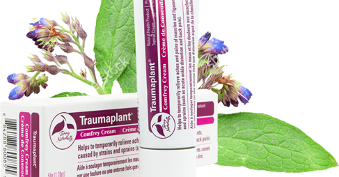 Win 1 of 4 Terry Naturally® CANADA Traumaplant® Comfrey Cream Products ...