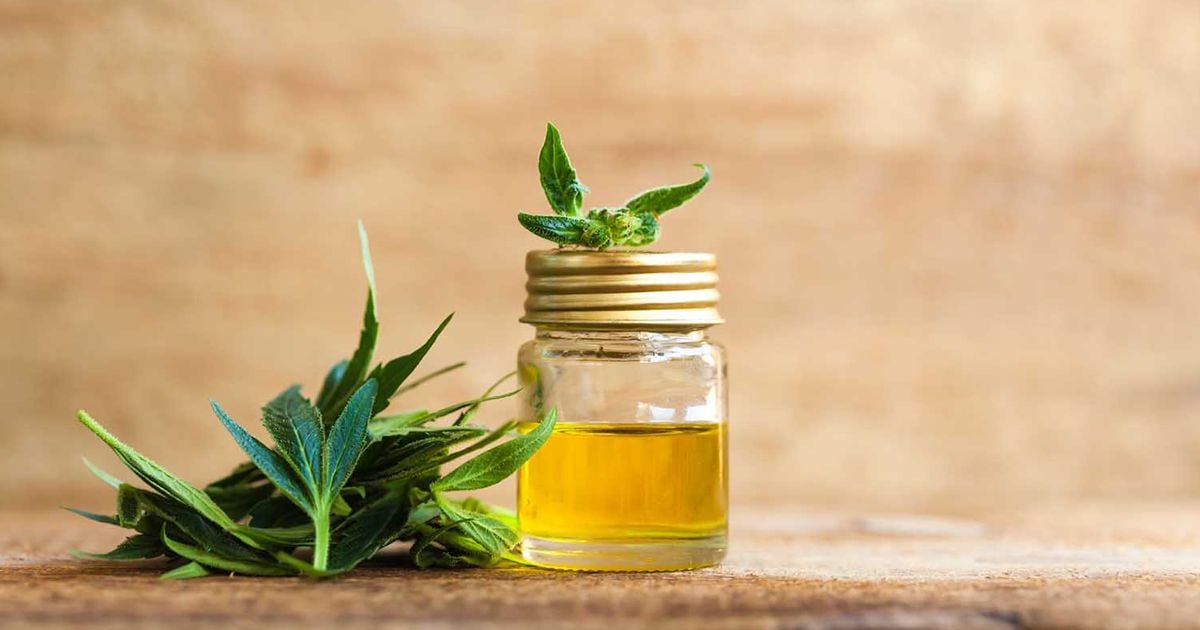 CBD: What Does the Science Say? - alive magazine