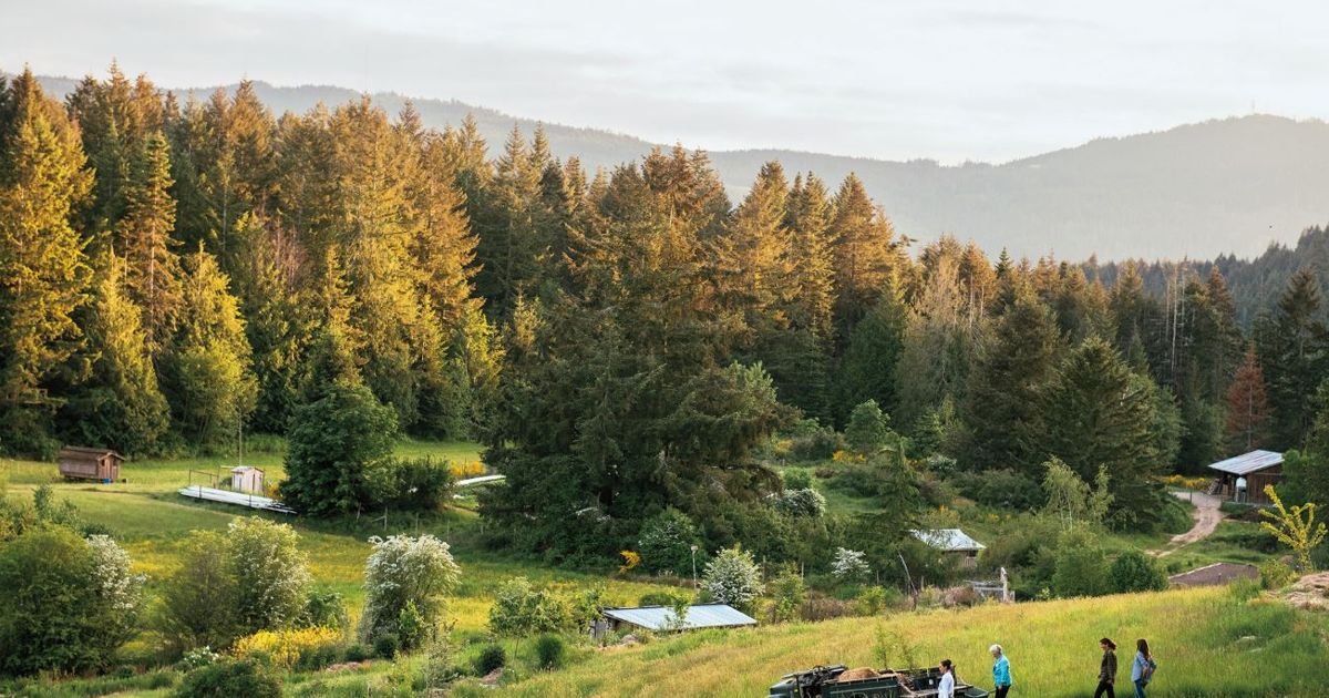 This Is What Modern Farming Can Look Like - alive magazine