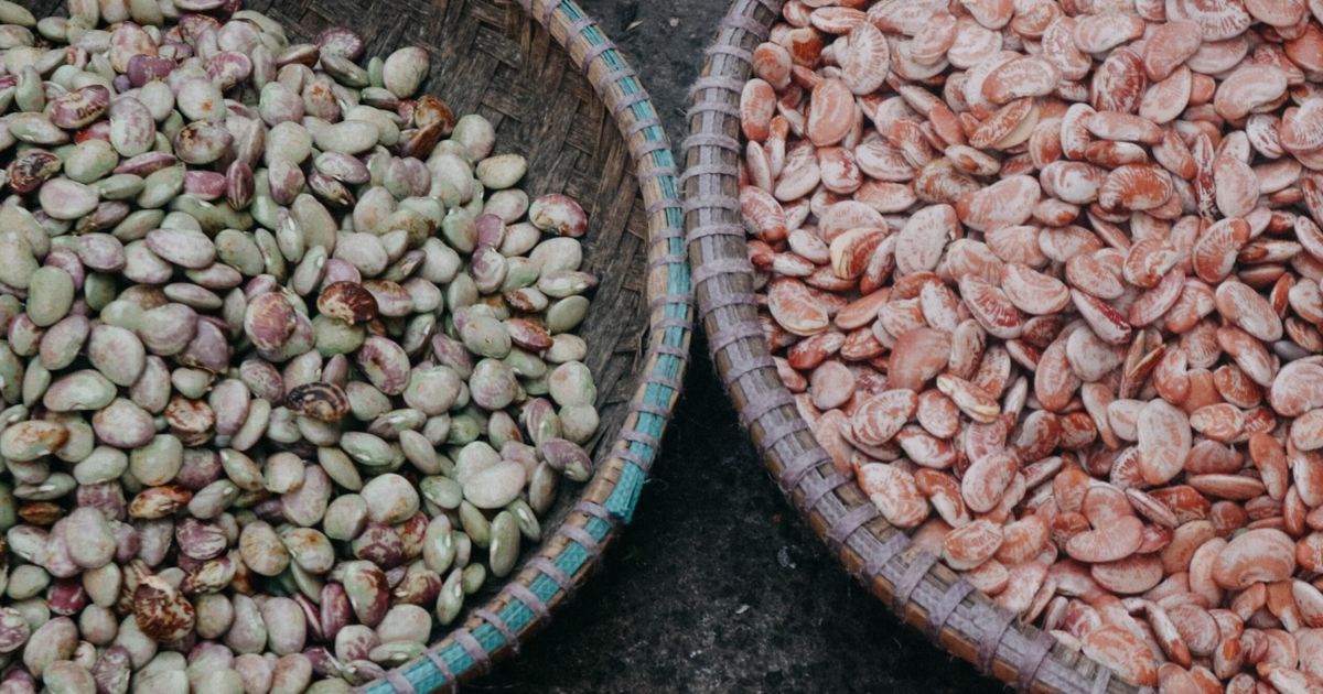 Top 10 Tips for Cooking Dried Legumes - alive magazine