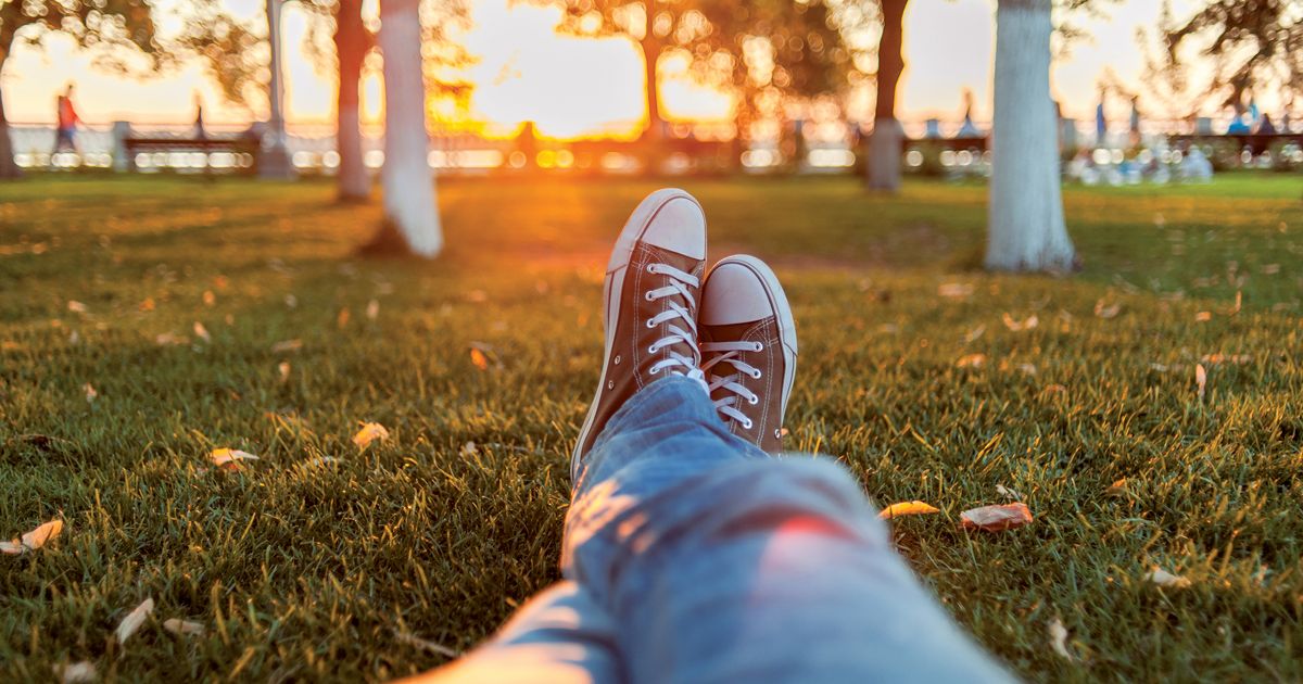 Rewilding Urban Spaces - alive magazine